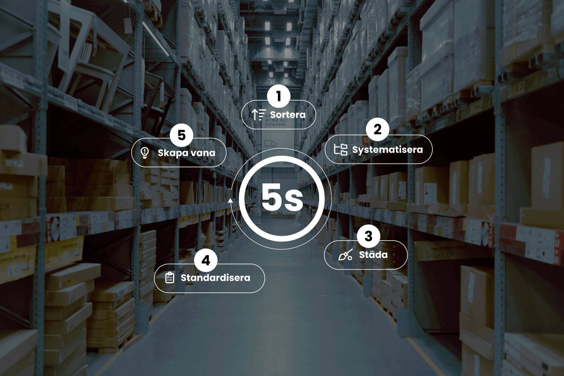 Ledningssystem för kvalitet och effektivitet | AM Systems plattform
