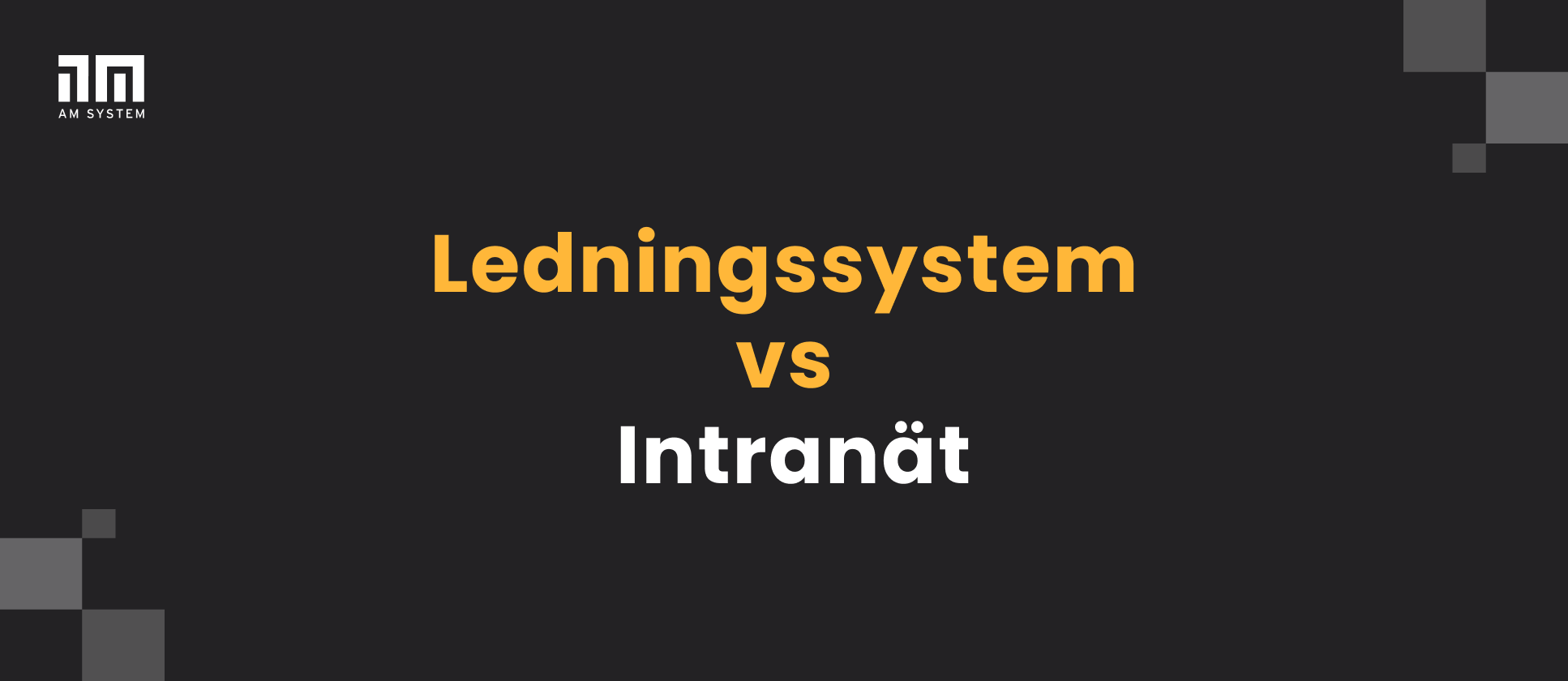 Vad är skillnaden mellan ett ledningssystem och ett intranät